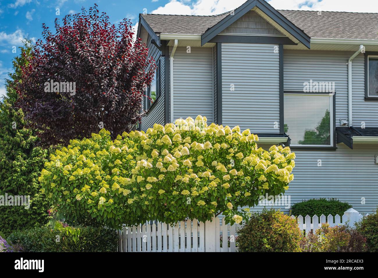 Nicely landscaped front yard in summer in the suburbs. Beautiful house ...