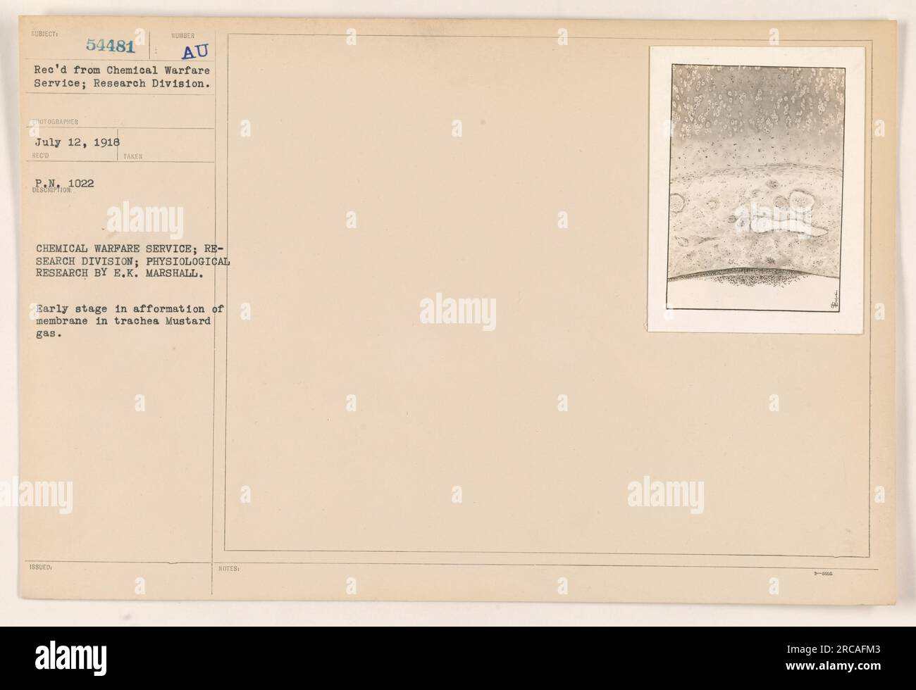 The photograph shows a chemical weapons research conducted by E.K ...