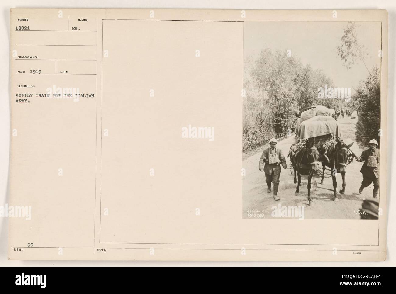 A supply train for the Italian Army is featured in this photograph ...