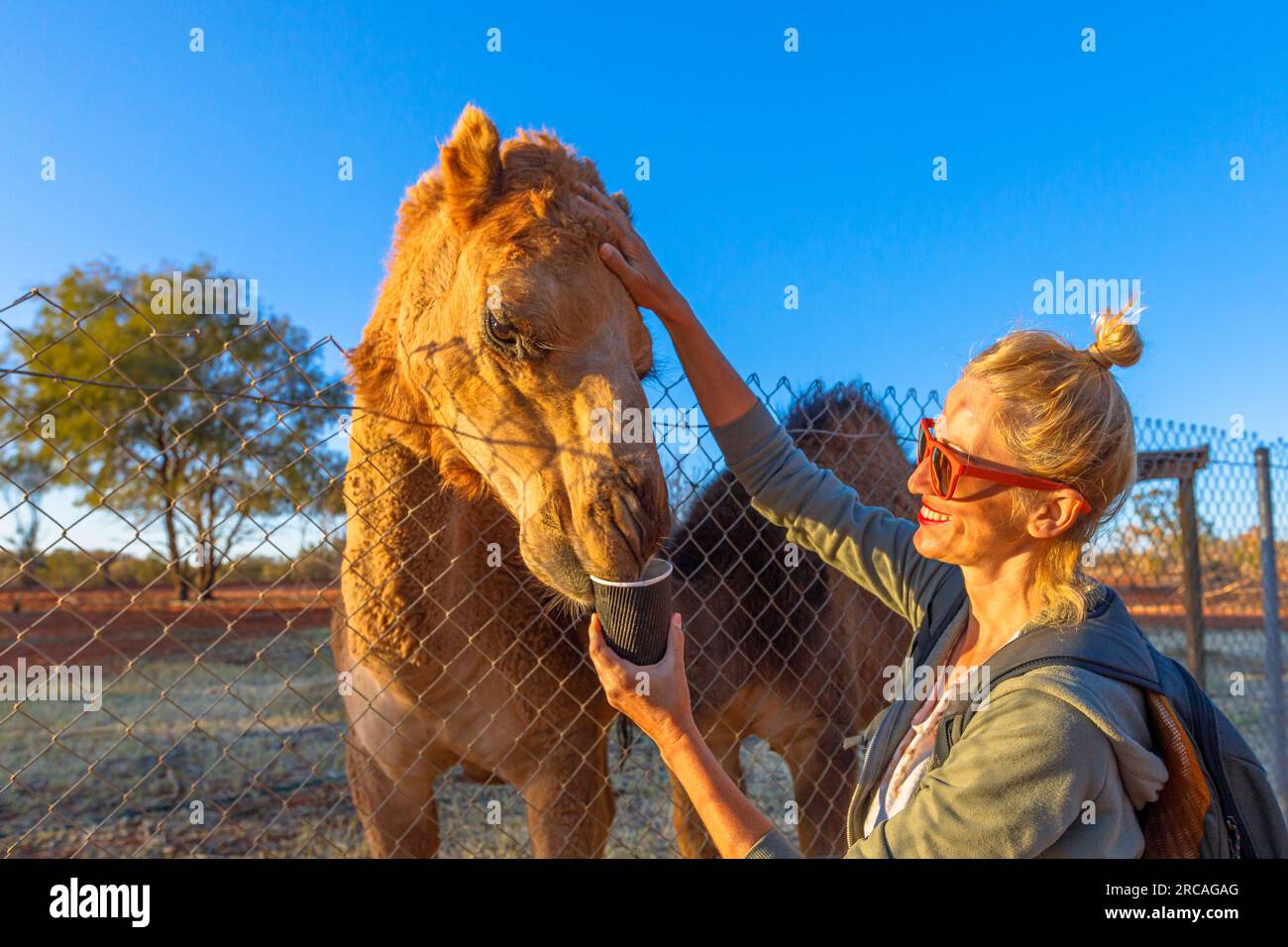 girl tourist enjoys camel encounter in the Northern Territory of ...