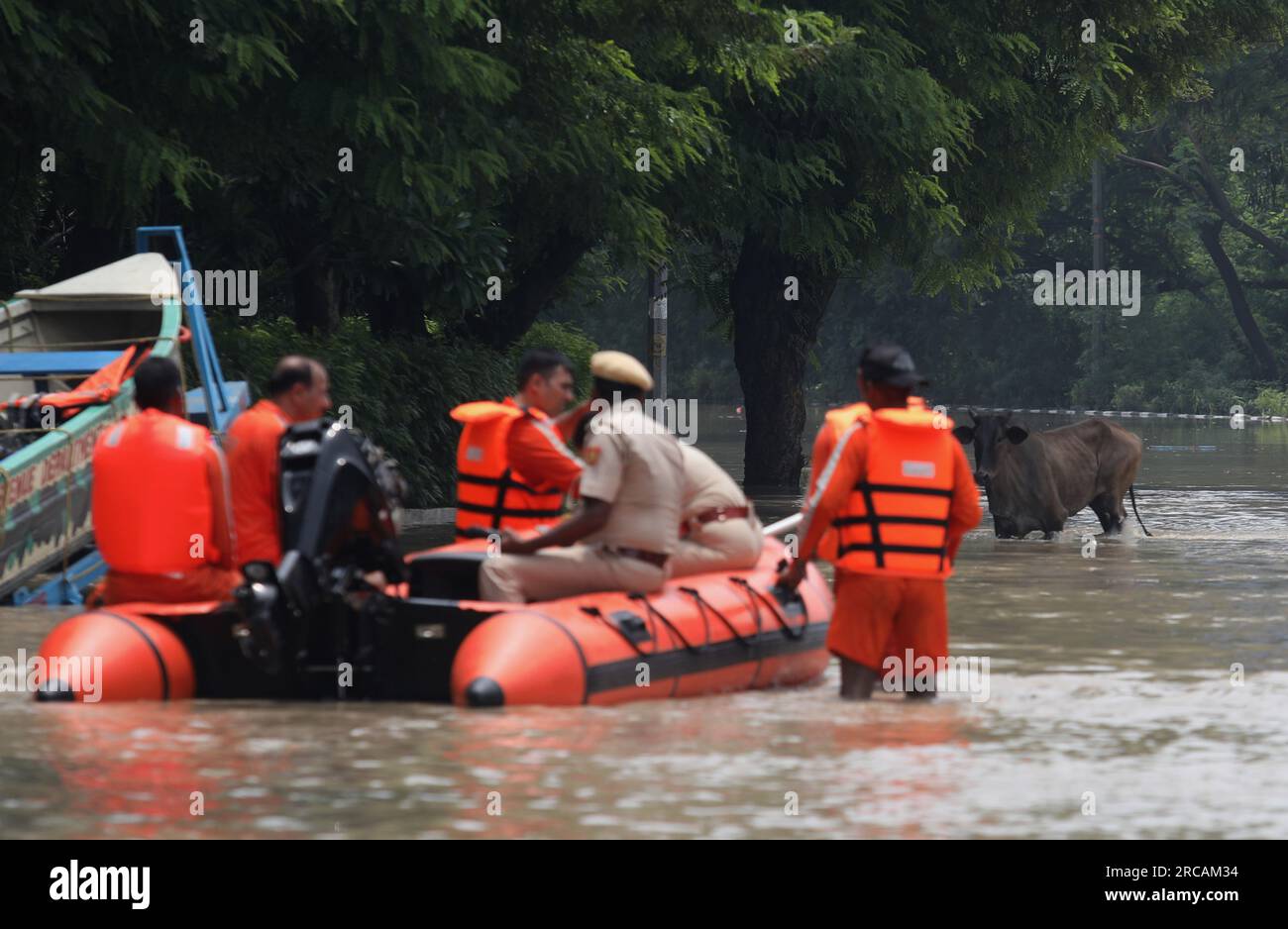 New Delhi, India. 13th July, 2023. National Disaster Response Force (NDRF) personnel trying to ...