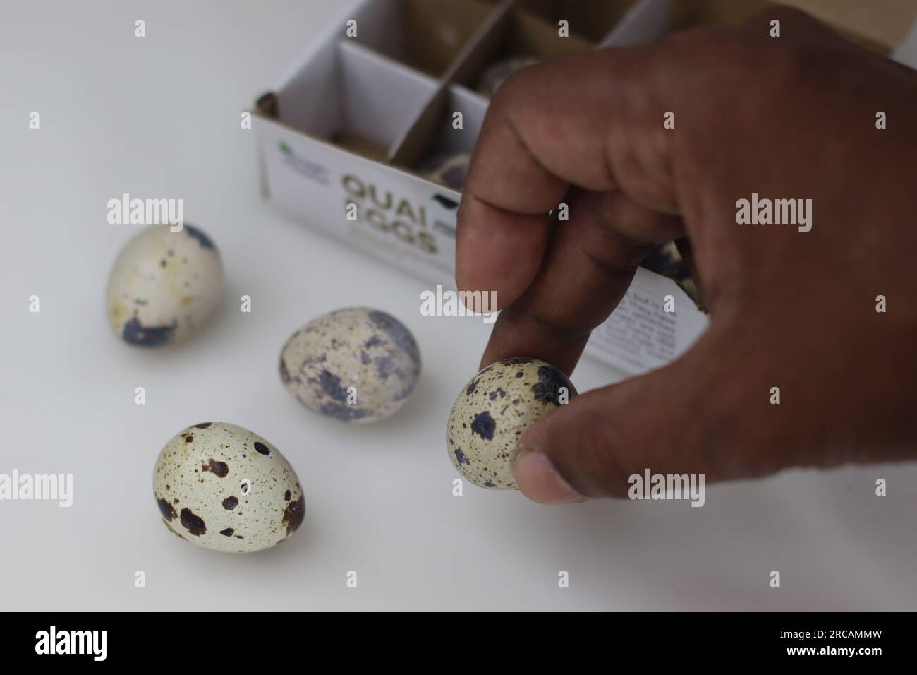 Quail eggs. Quail eggs are a kind of eggs eaten as food and considered ...