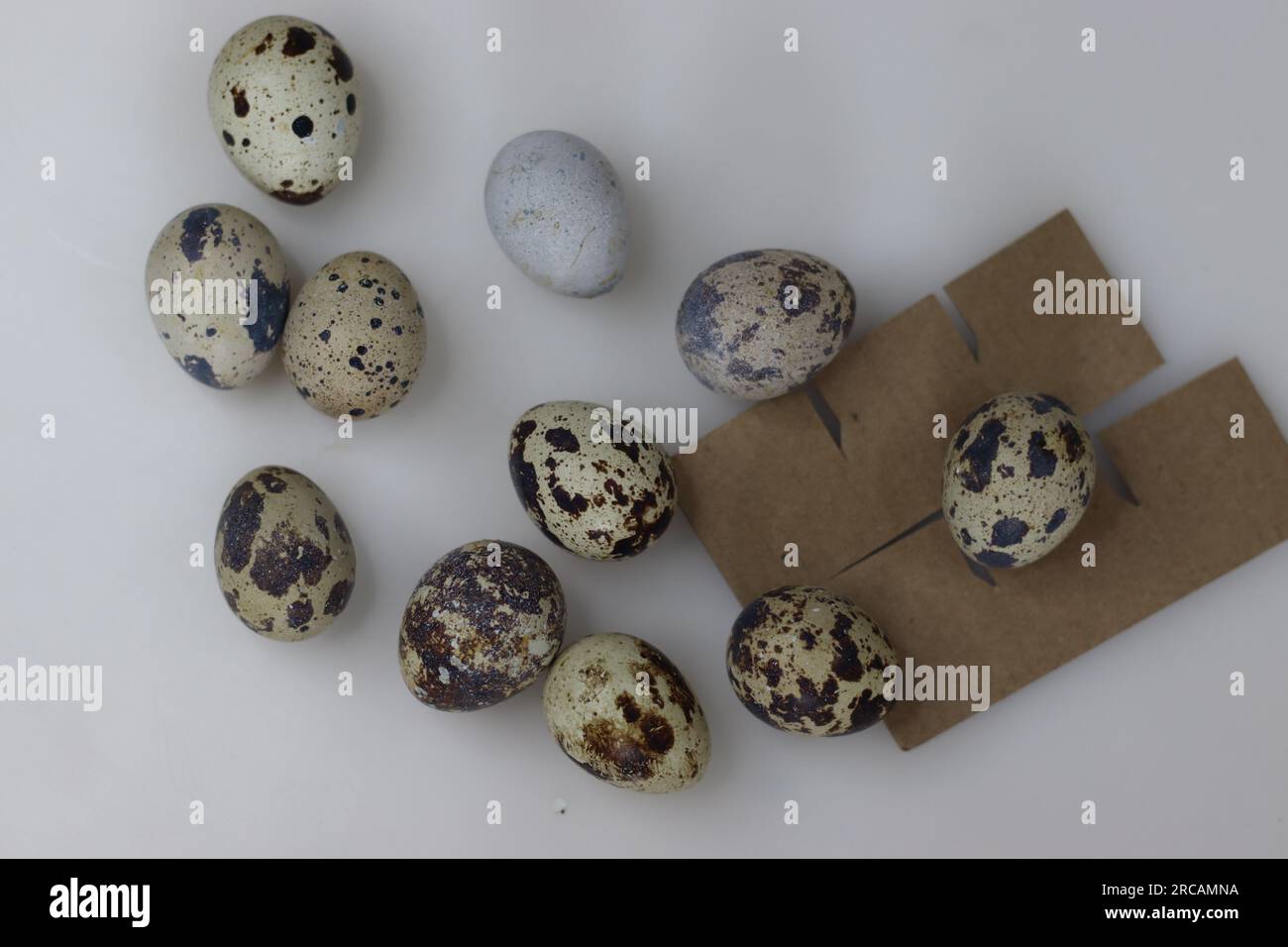 Quail eggs. Quail eggs are a kind of eggs eaten as food and considered ...
