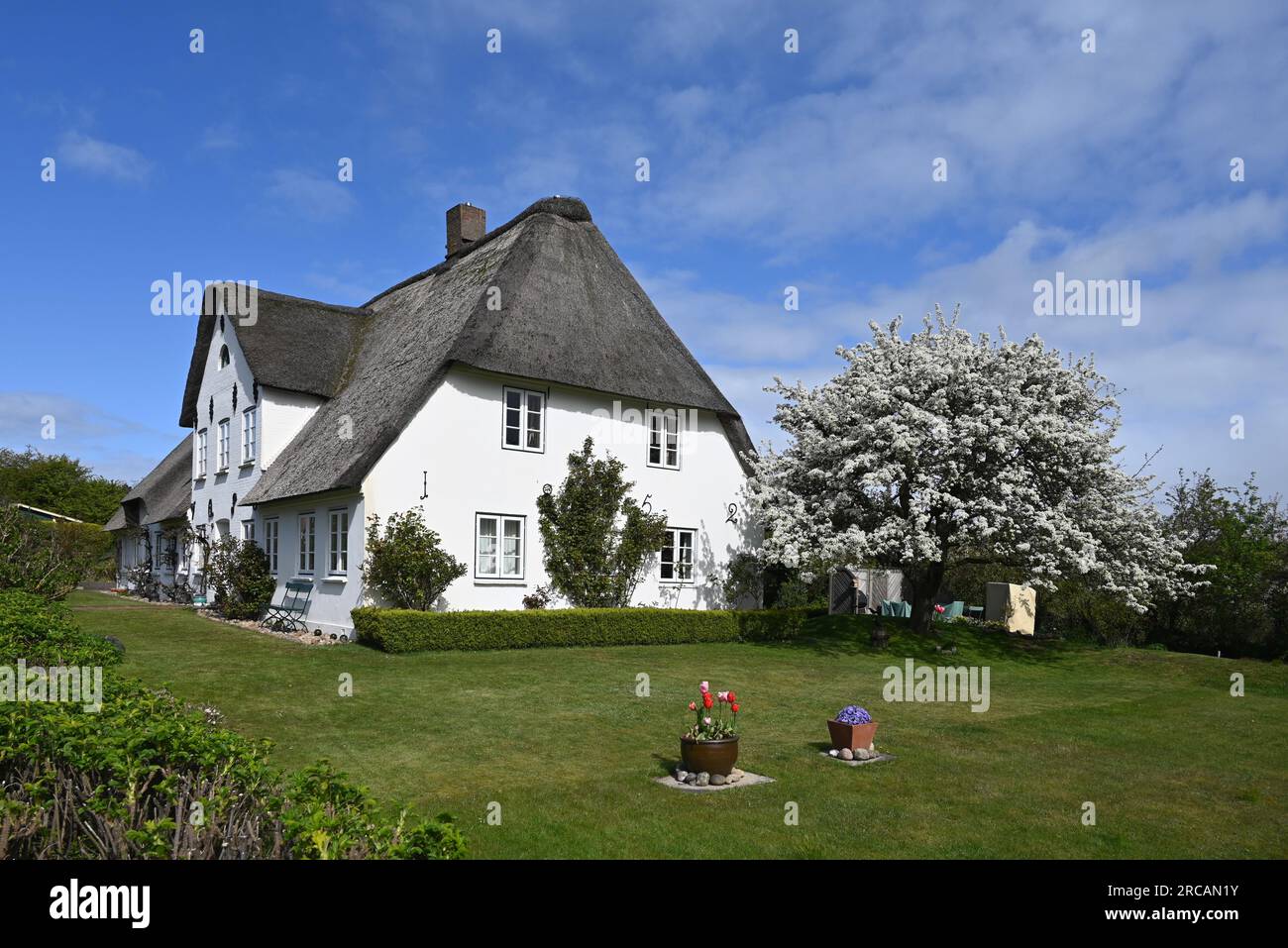 A Tatched house in Steenodde, Nebel, Amrum, Frisian Islands,Wadden Sea ...