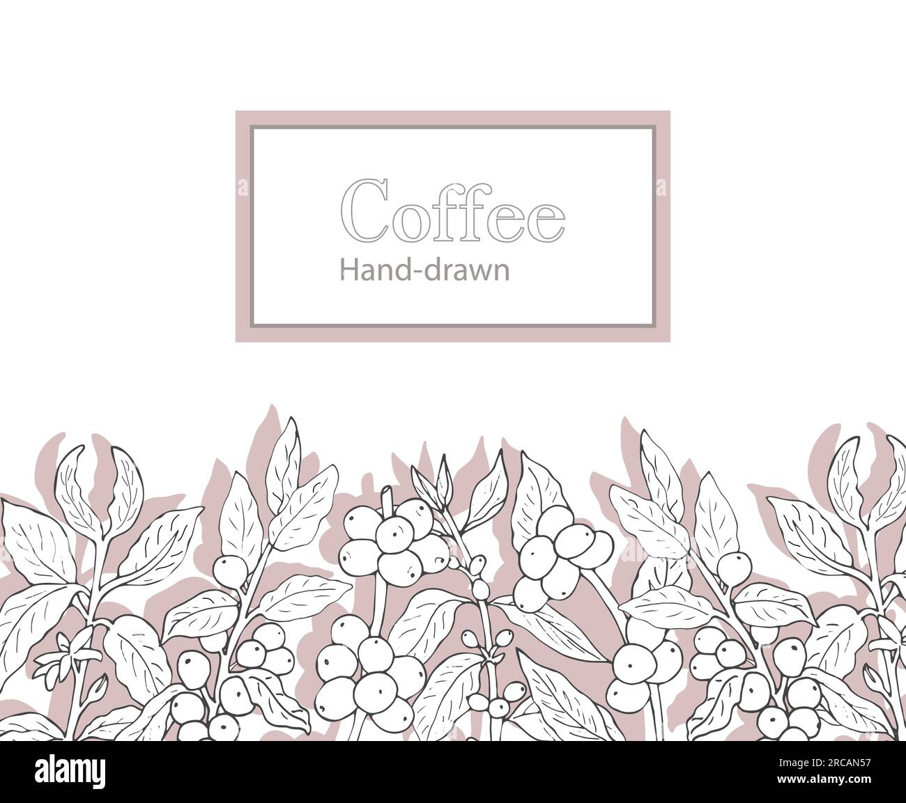 Coffee branches banner or label template for packaging design, hand ...