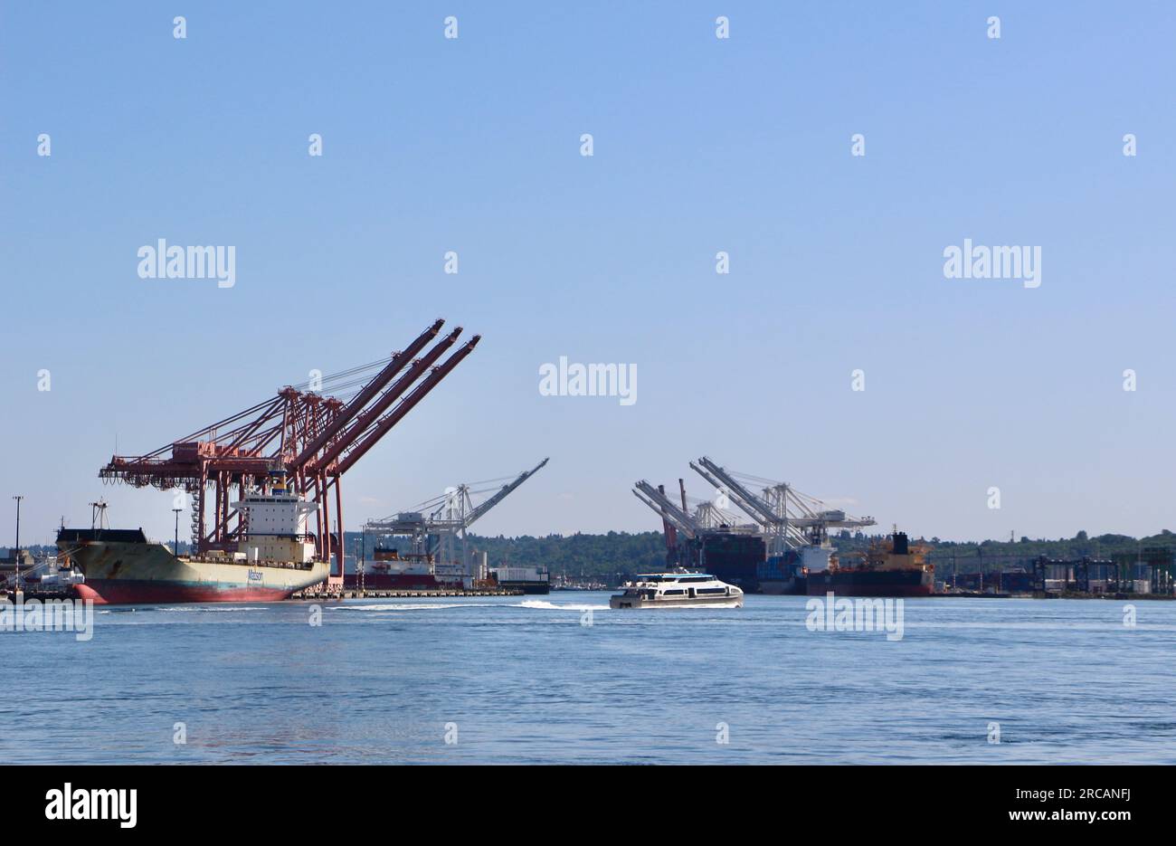 Container Ship Maunalei moored at the dockside dwarfed by huge cranes ...