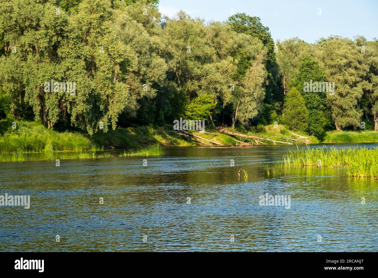 Gauja river in Valmiera. river panorama with beautiful green banks. The ...