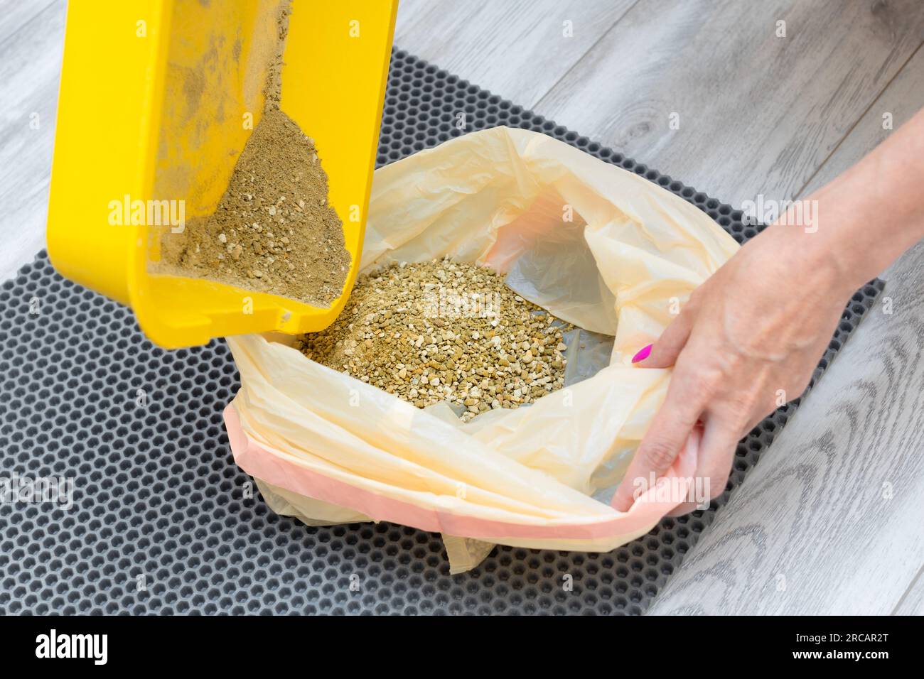 woman pouring used cat litter into trash bag. woman changing cat litter ...