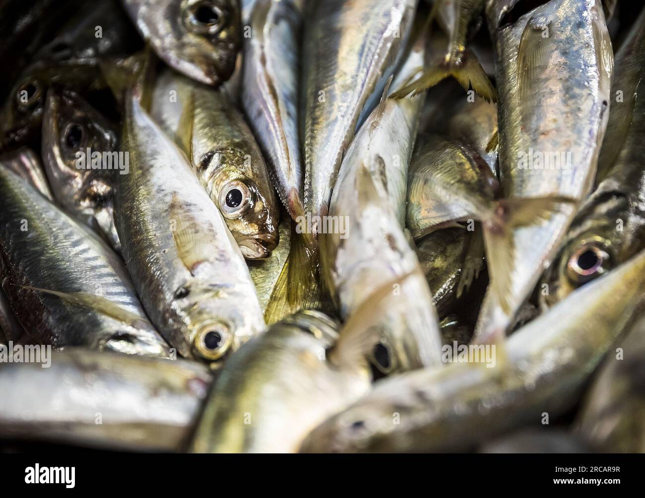 Groep voorwerpen hi-res stock photography and images - Alamy