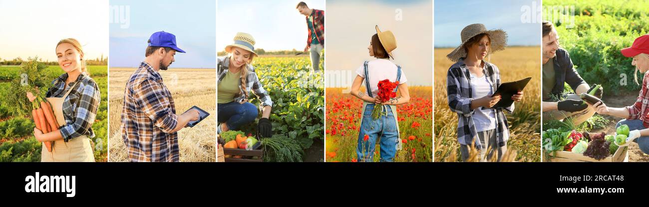 Group of working farmers in fields Stock Photo - Alamy