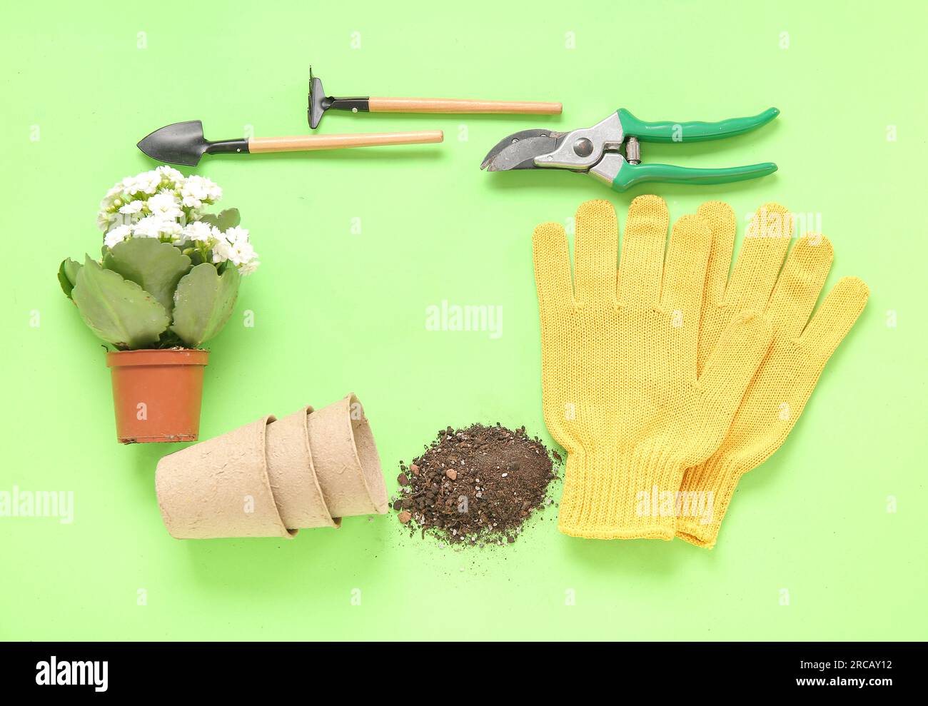 Frame made of different gardening tools and plant on green background ...