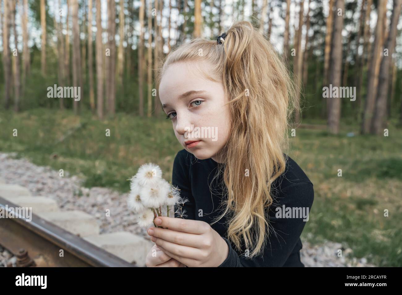 Summer portrait of a romantic girl outdoors with big fluffy dandelions. A 13-year-old girl is ...