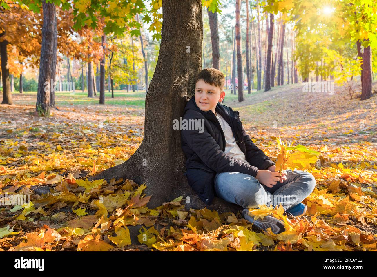 A boy of 12-13 years old sits under a tree in an autumn sunny park ...