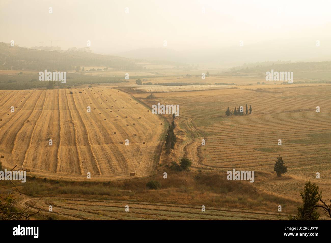 agricultural fields in the valley of Elah, Israel Stock Photo - Alamy