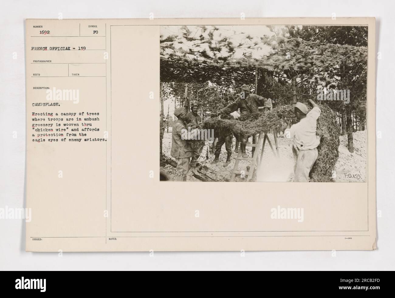 Troops constructing a canopy of trees as a camouflage technique during ...