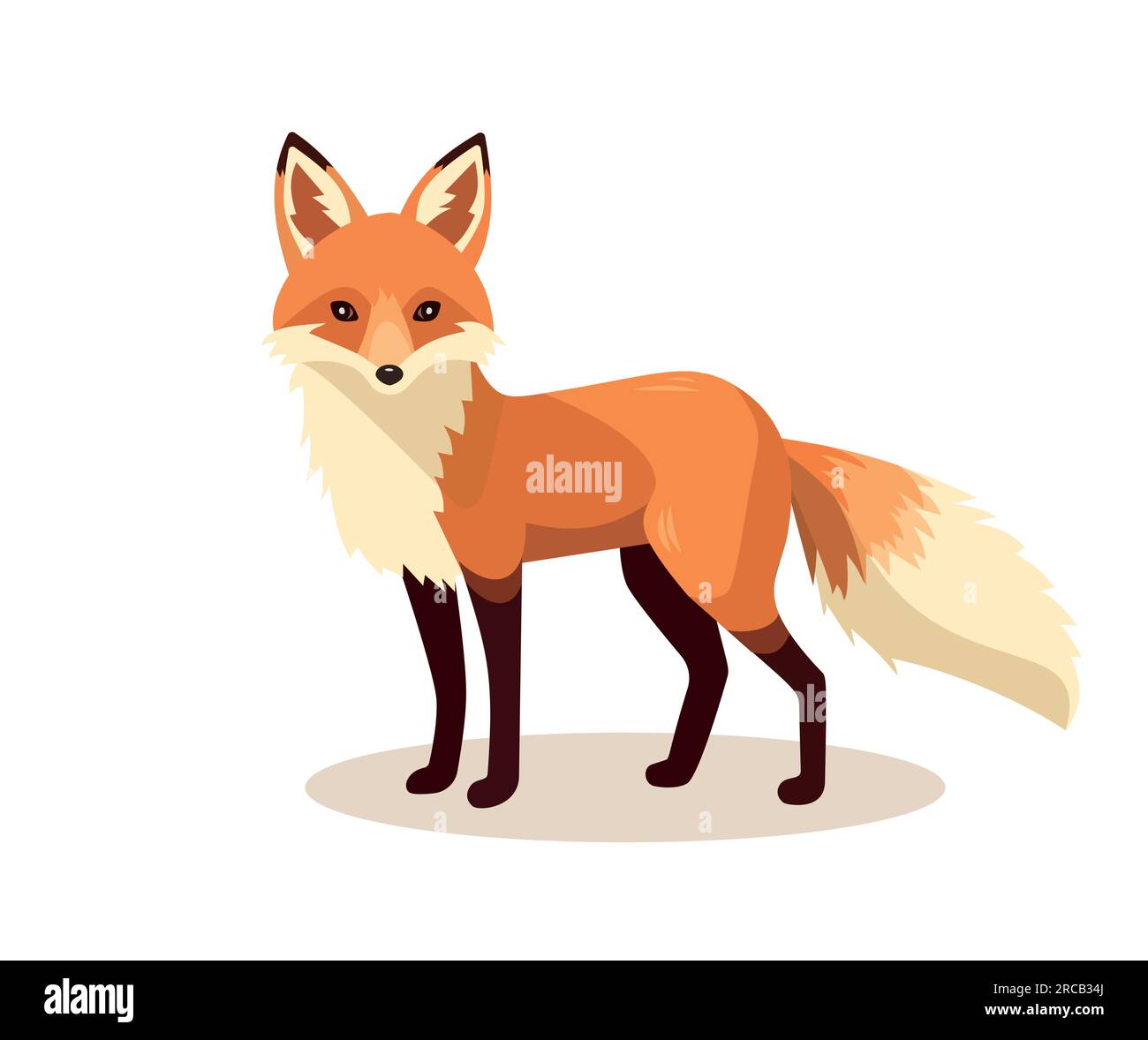 Fox Animal Face Side