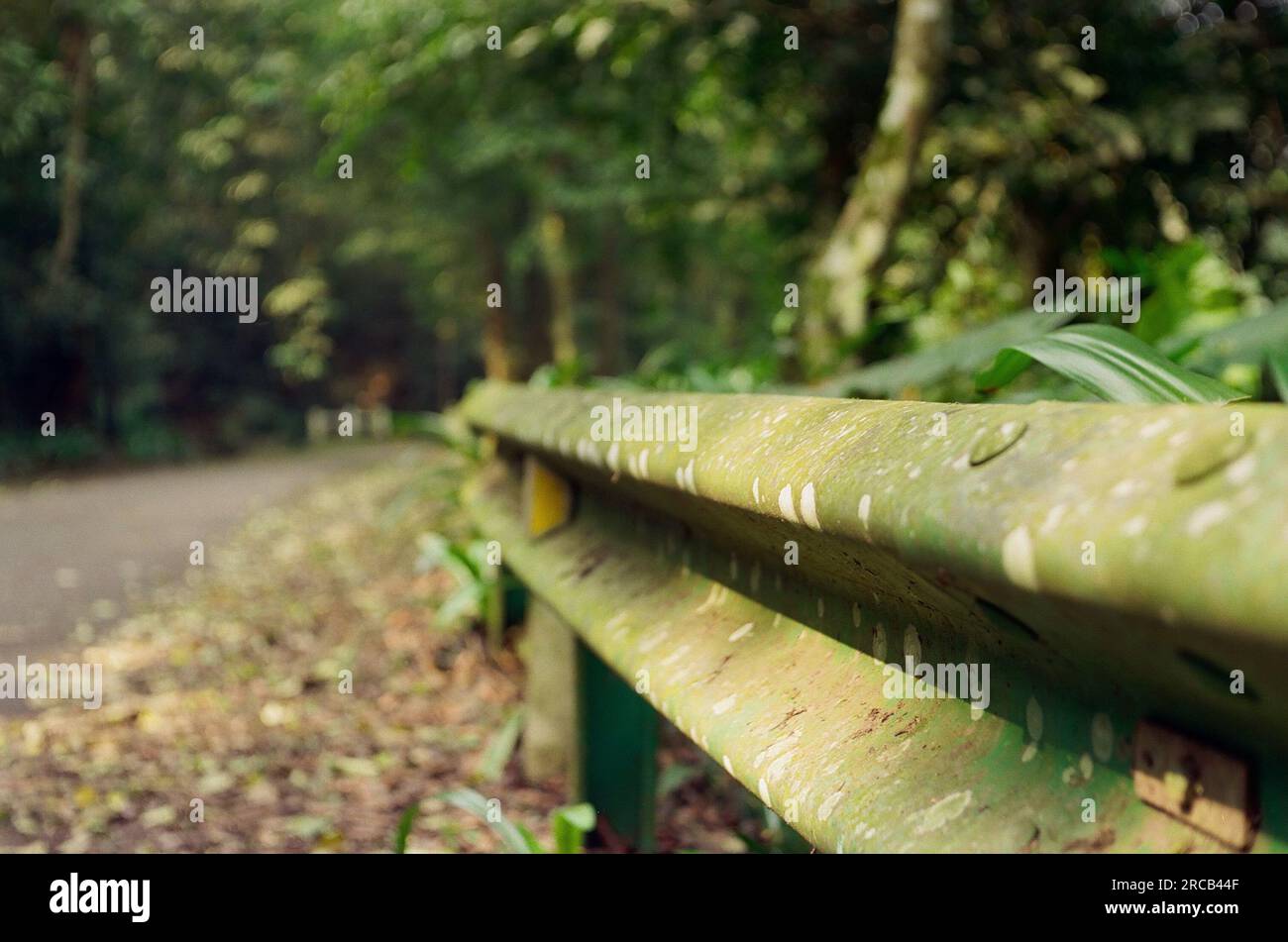 a sunny day on Ba Vi national park, Ha Noi, Viet Nam Stock Photo - Alamy