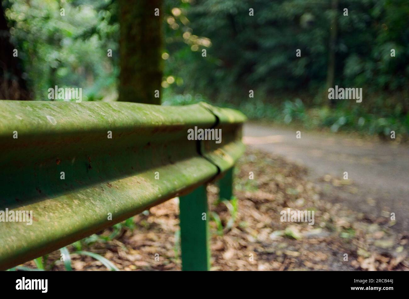 a sunny day on Ba Vi national park, Ha Noi, Viet Nam Stock Photo - Alamy