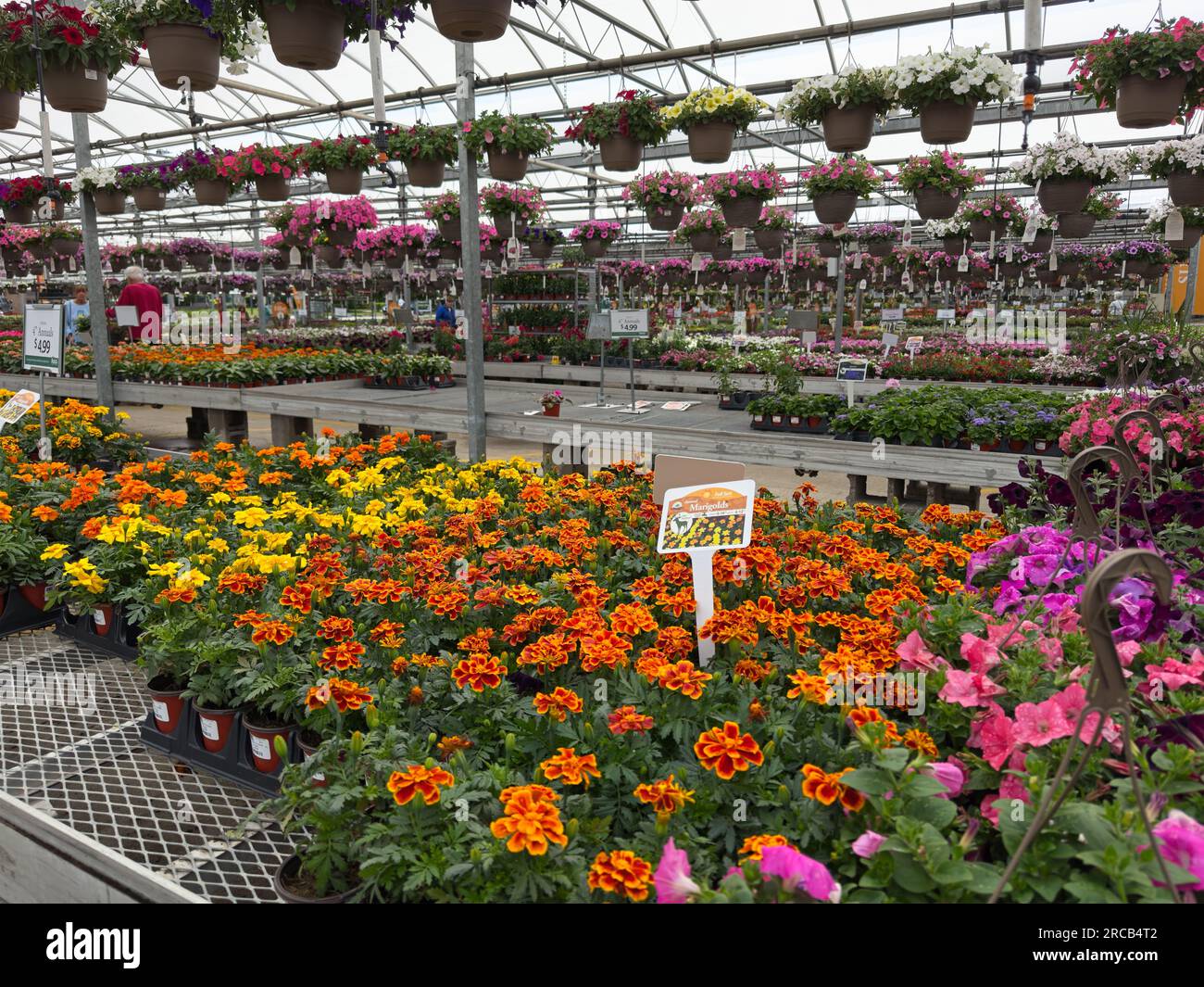 Marigolds, petunias, hanging baskets, and rows of annuals fill a large ...