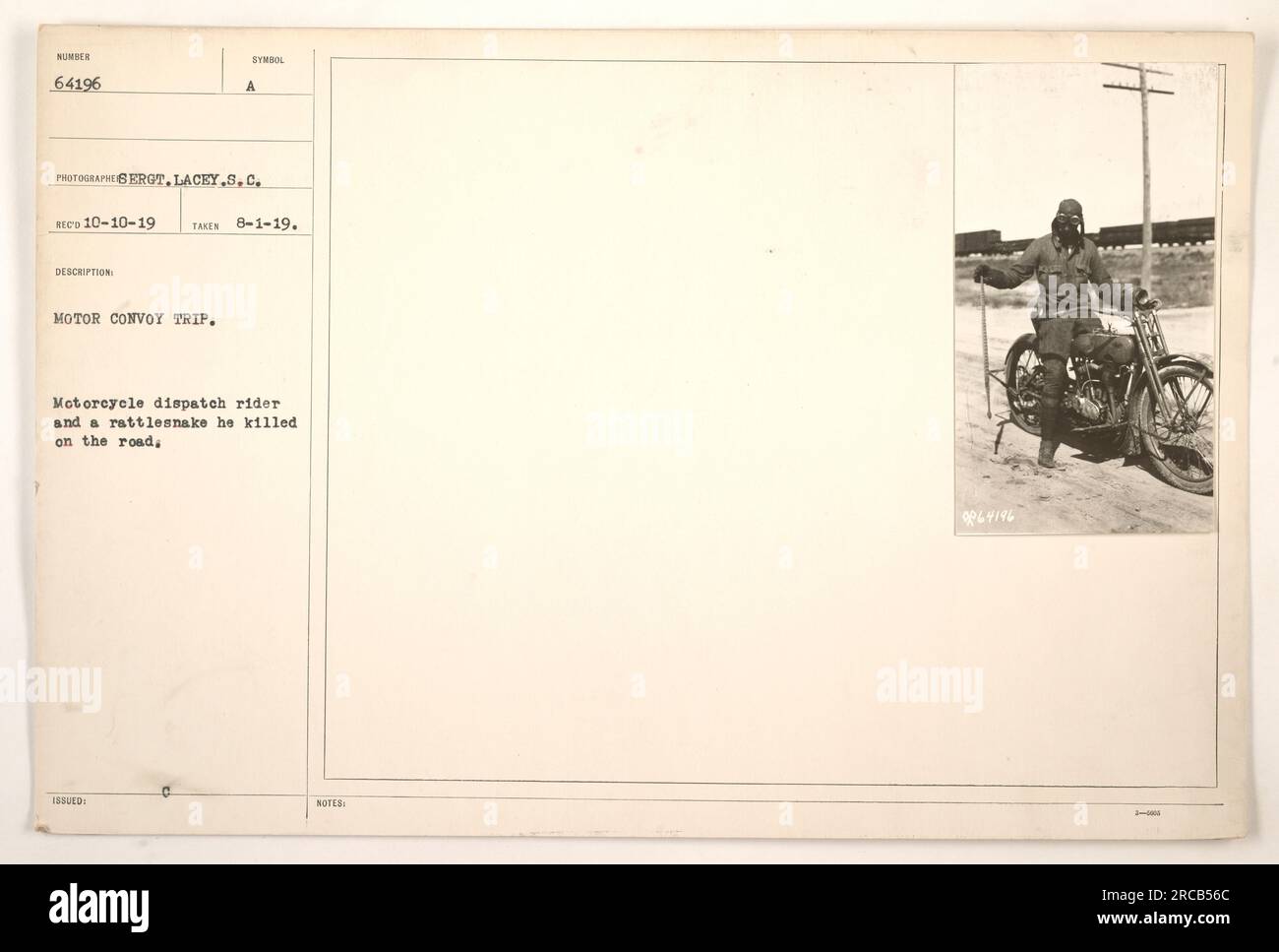 A motorcycle dispatch rider poses with a rattlesnake he killed during a ...