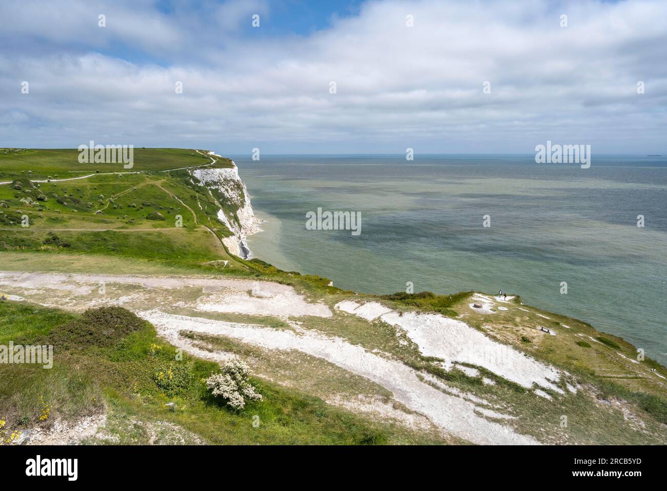 Footpath along the chalk cliffs of Dover, Kent, English Channel ...