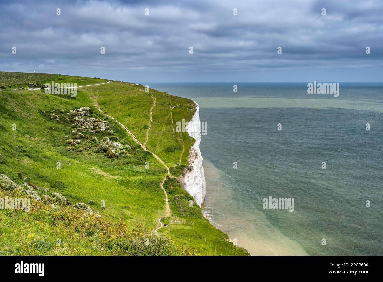 Footpaths along the chalk cliffs of Dover, Kent, English Channel ...