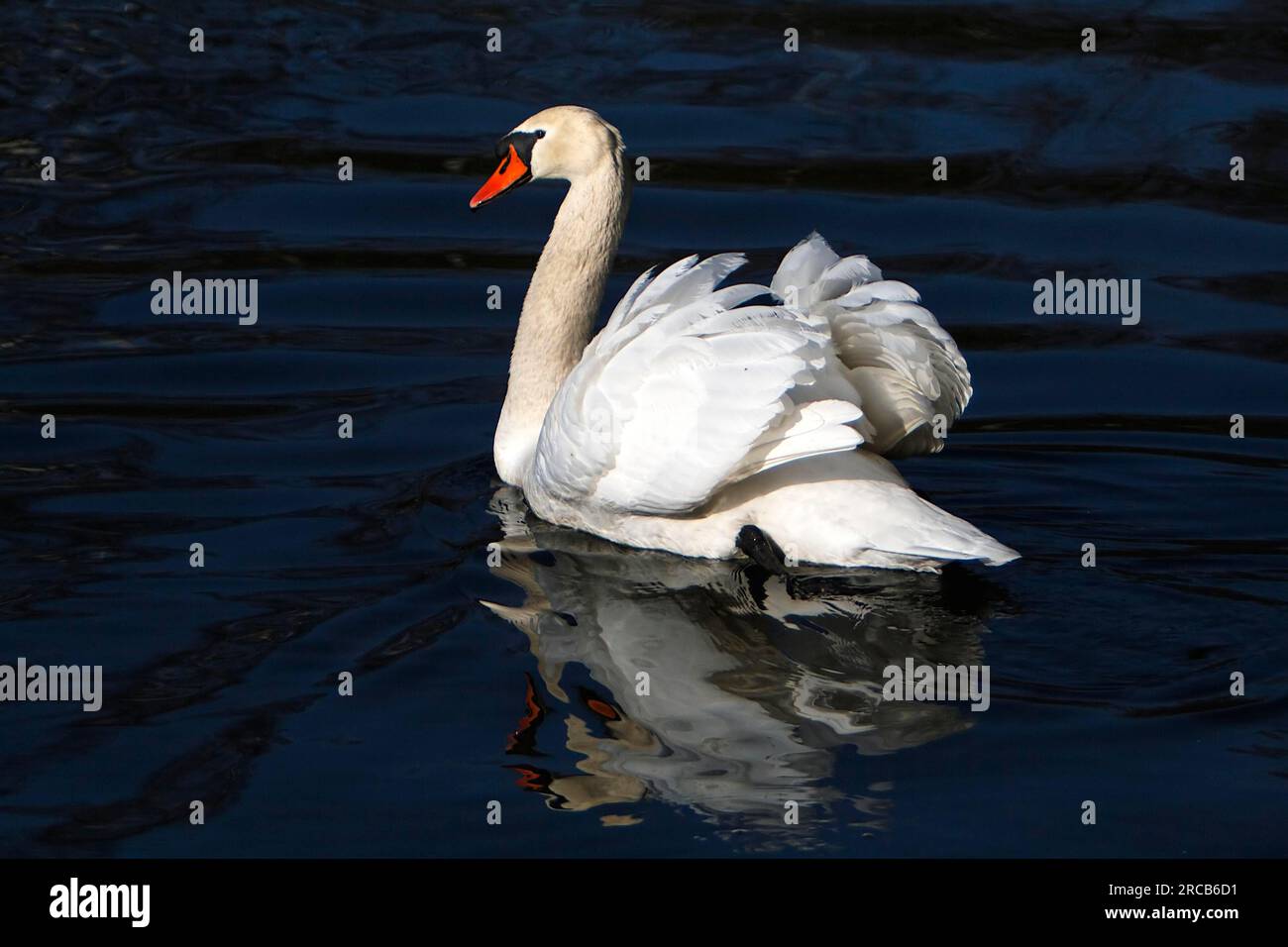 Imagine gardens hi-res stock photography and images - Alamy