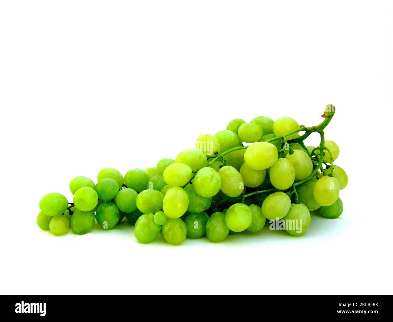 Grapes tree Cut Out Stock Images & Pictures - Alamy