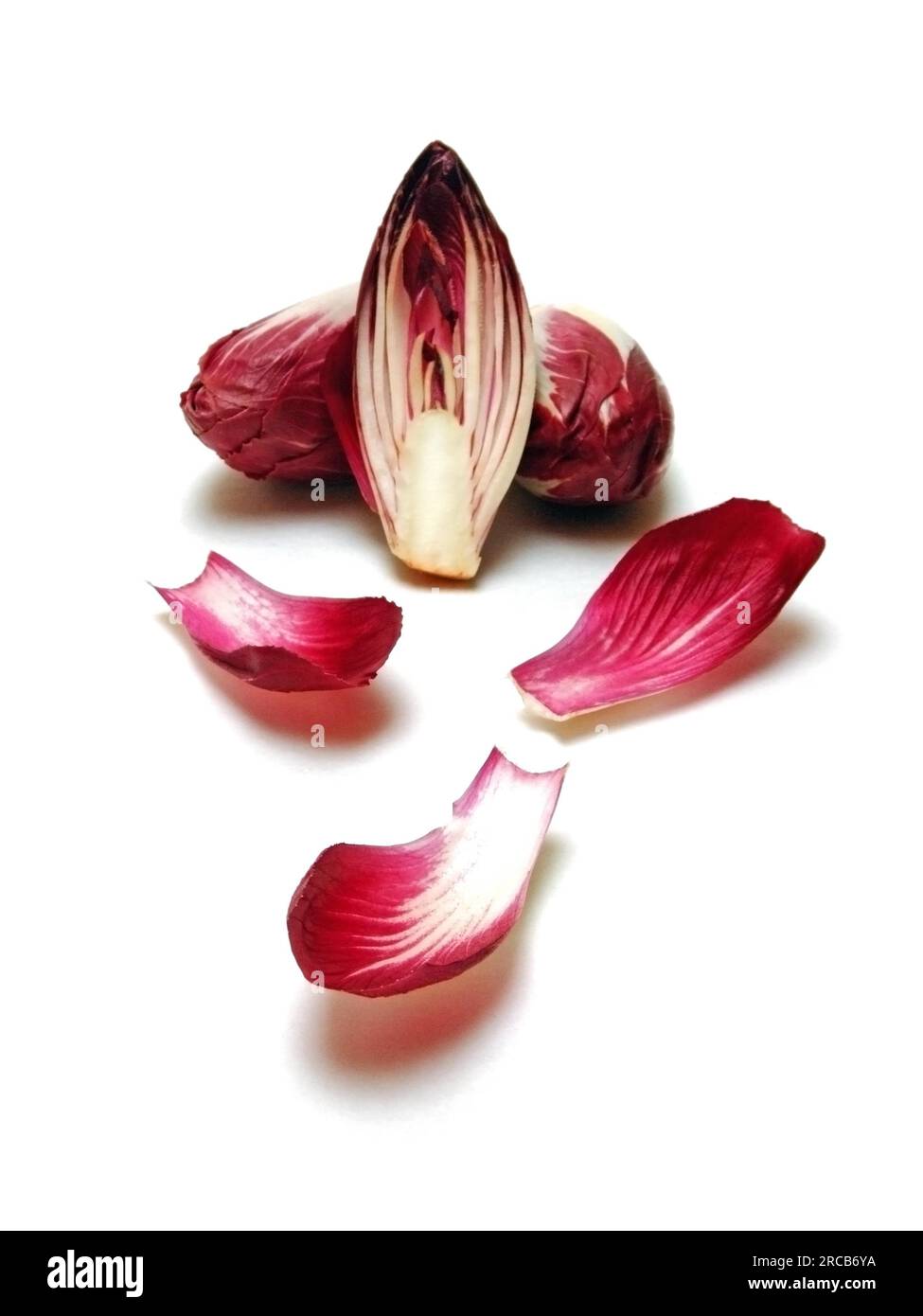 Three red chicory Stock Photo - Alamy