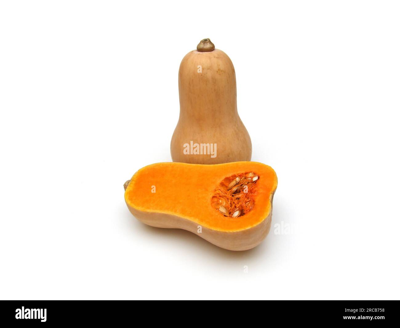 A few butternut squash (Cucurbita moschata Stock Photo - Alamy