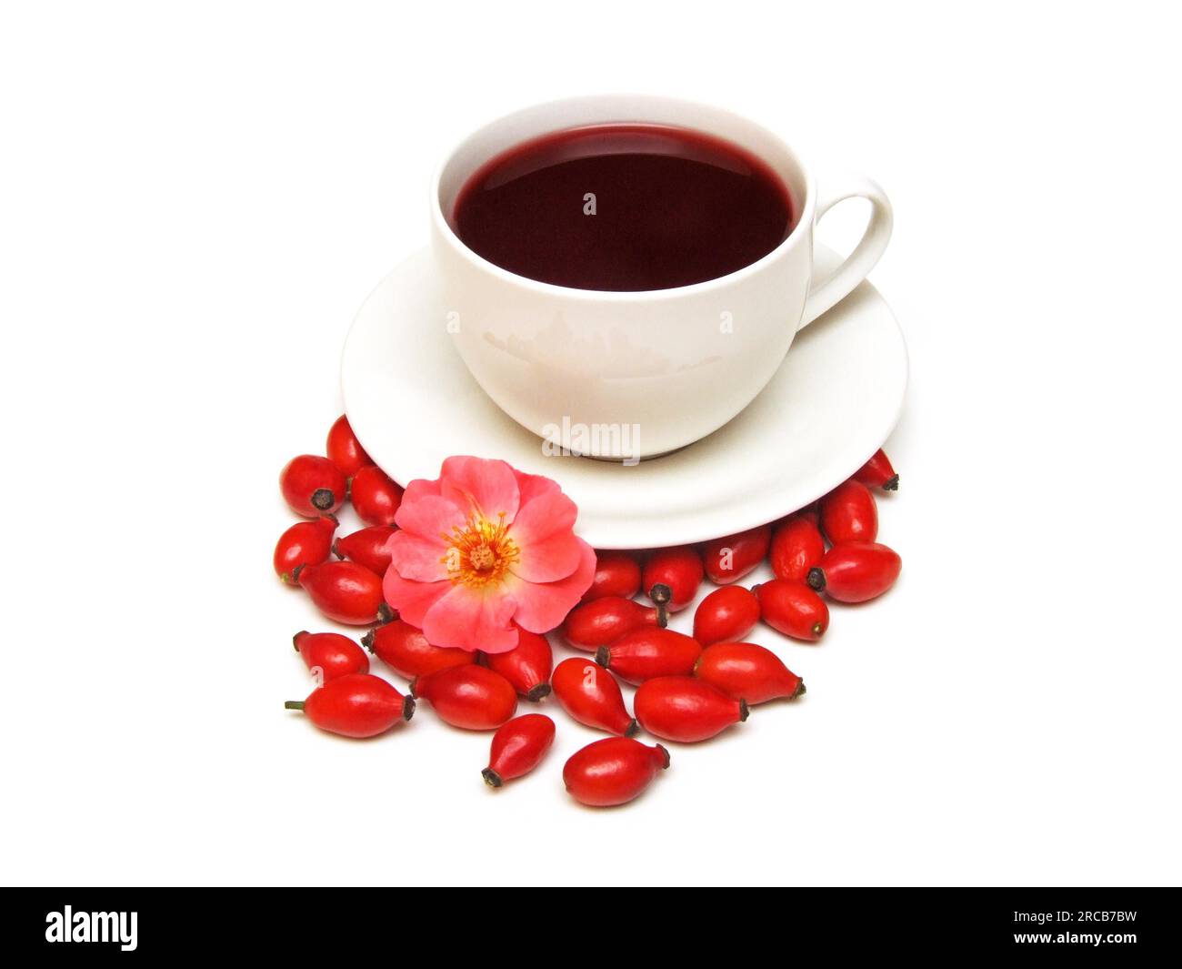 Rosehip Tea (Rosa canina Stock Photo - Alamy