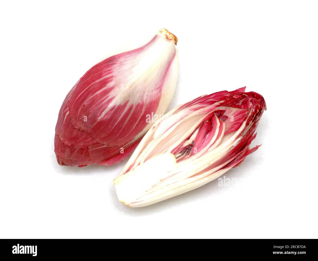 Red chicories hi-res stock photography and images - Alamy