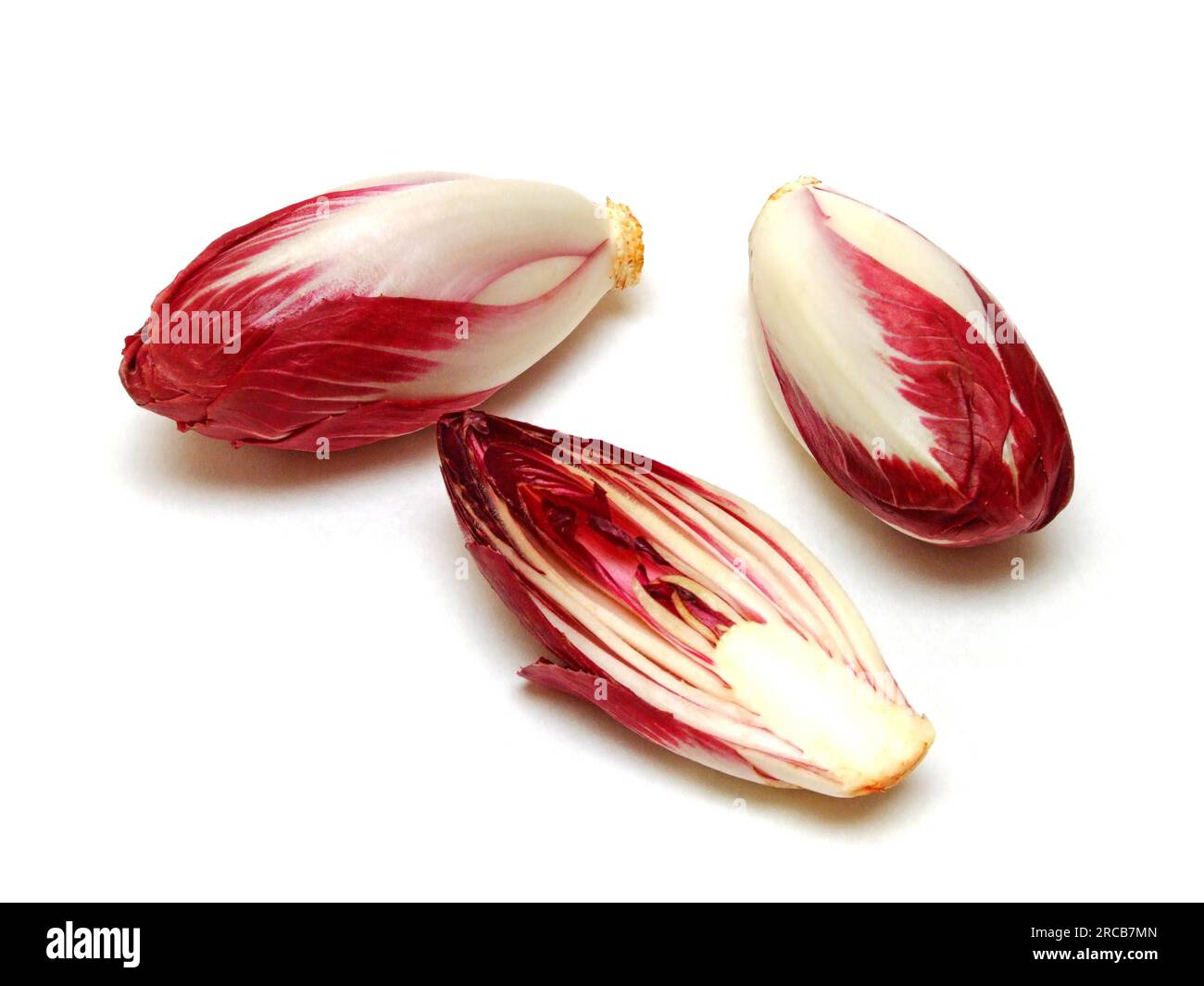 Three red chicory Stock Photo - Alamy