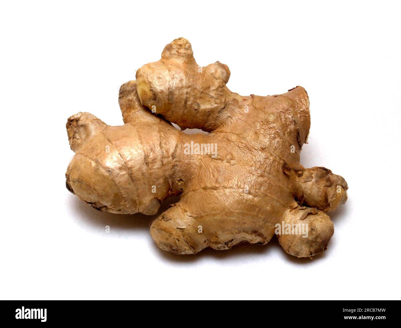 Little ginger Cut Out Stock Images & Pictures - Alamy
