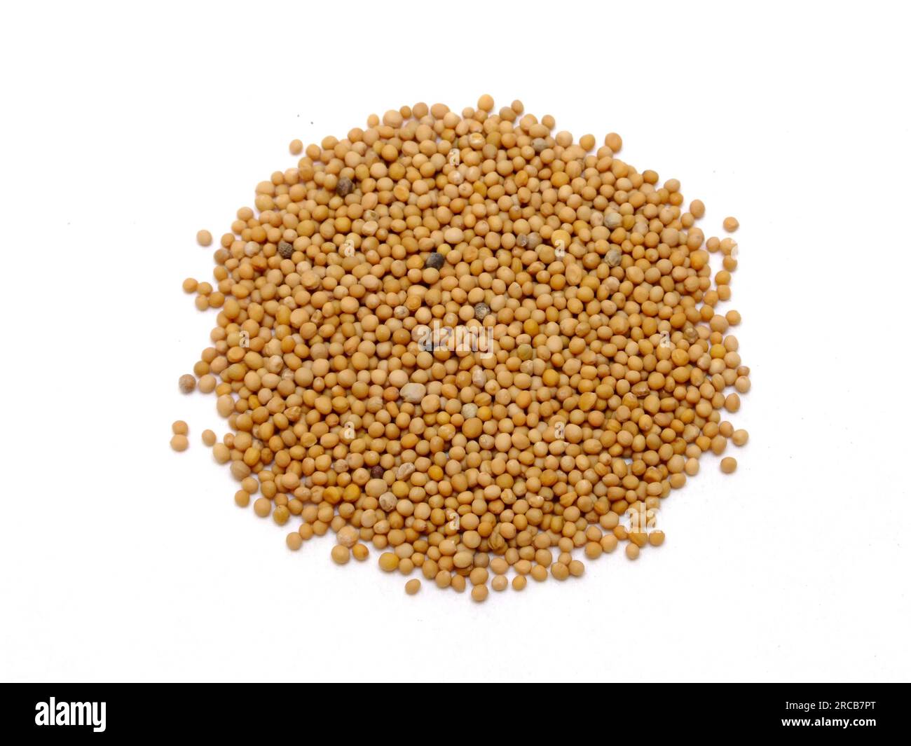 The mustard seed Cut Out Stock Images & Pictures - Alamy