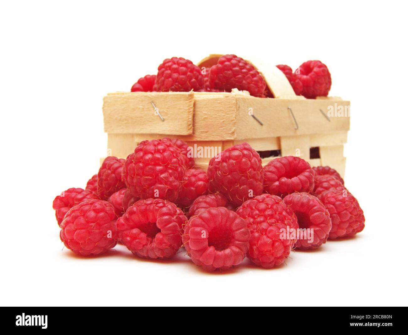 Видман рубус фото и видео EAPA.ru