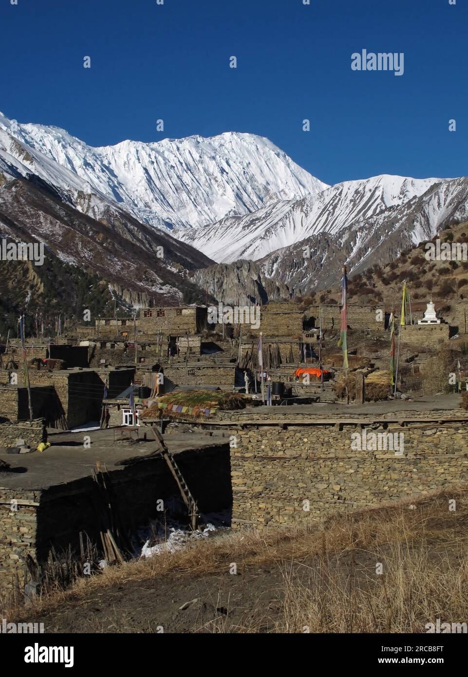View of Khangsar and Tilicho Peak, Nepal Stock Photo - Alamy