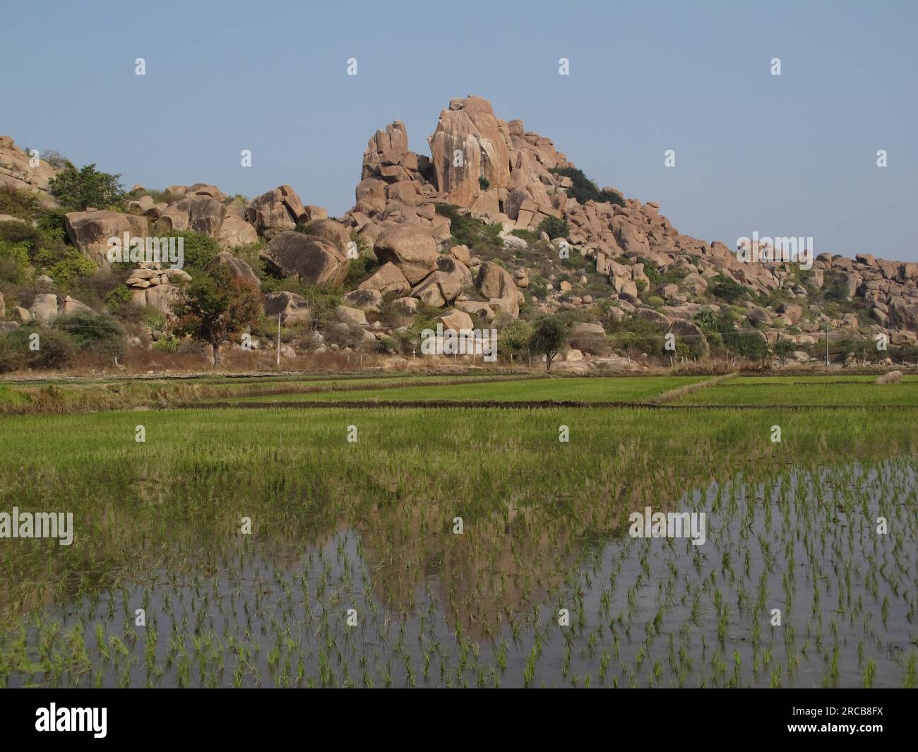 Country side india hi-res stock photography and images - Alamy