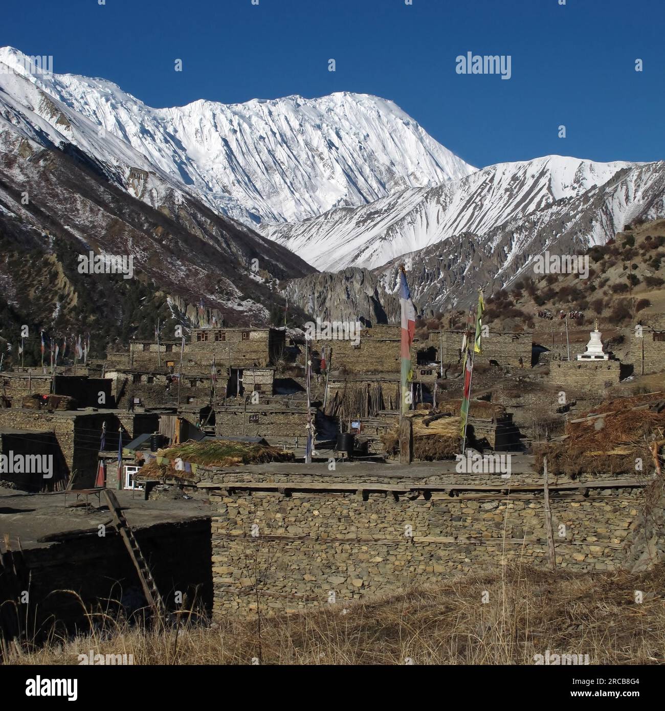 Village Khangsar and Tilicho Peak, Nepal Stock Photo - Alamy