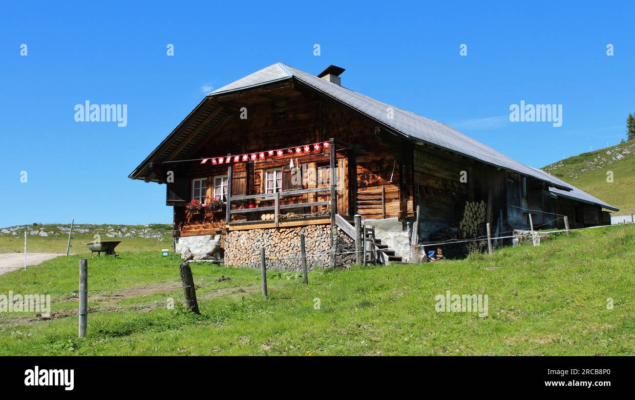 Simmental hi-res stock photography and images - Alamy