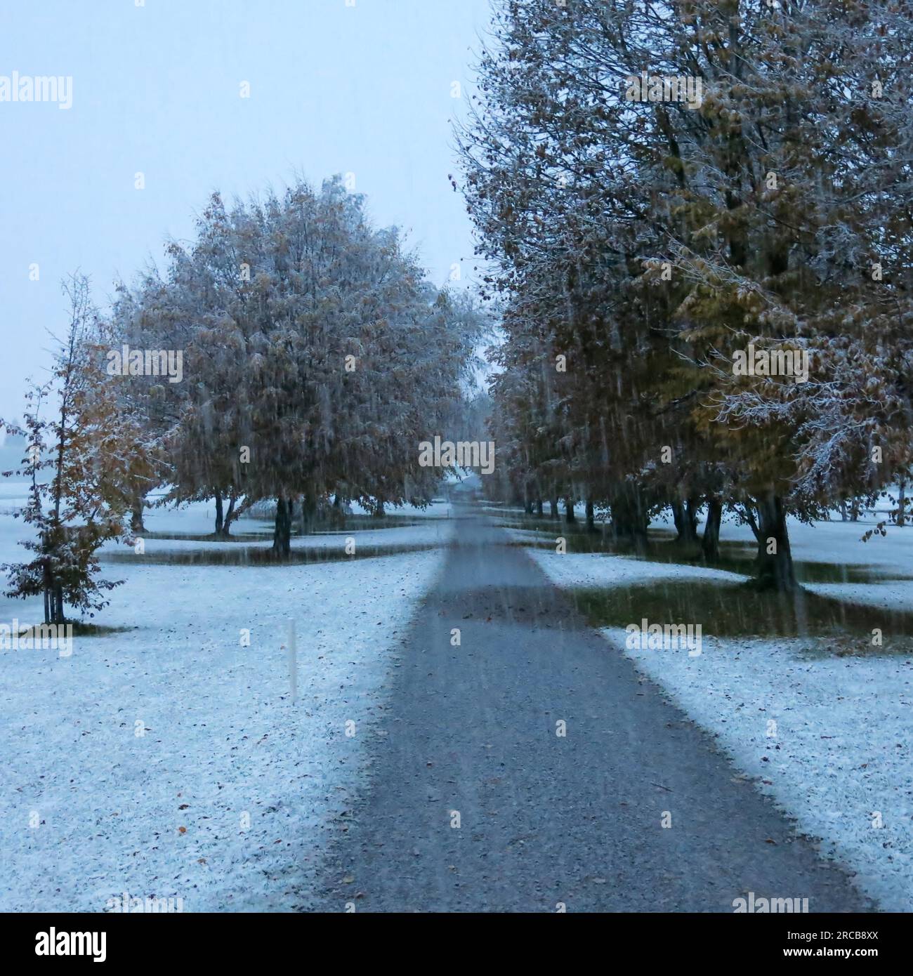 First snowfall in autumn Stock Photo - Alamy