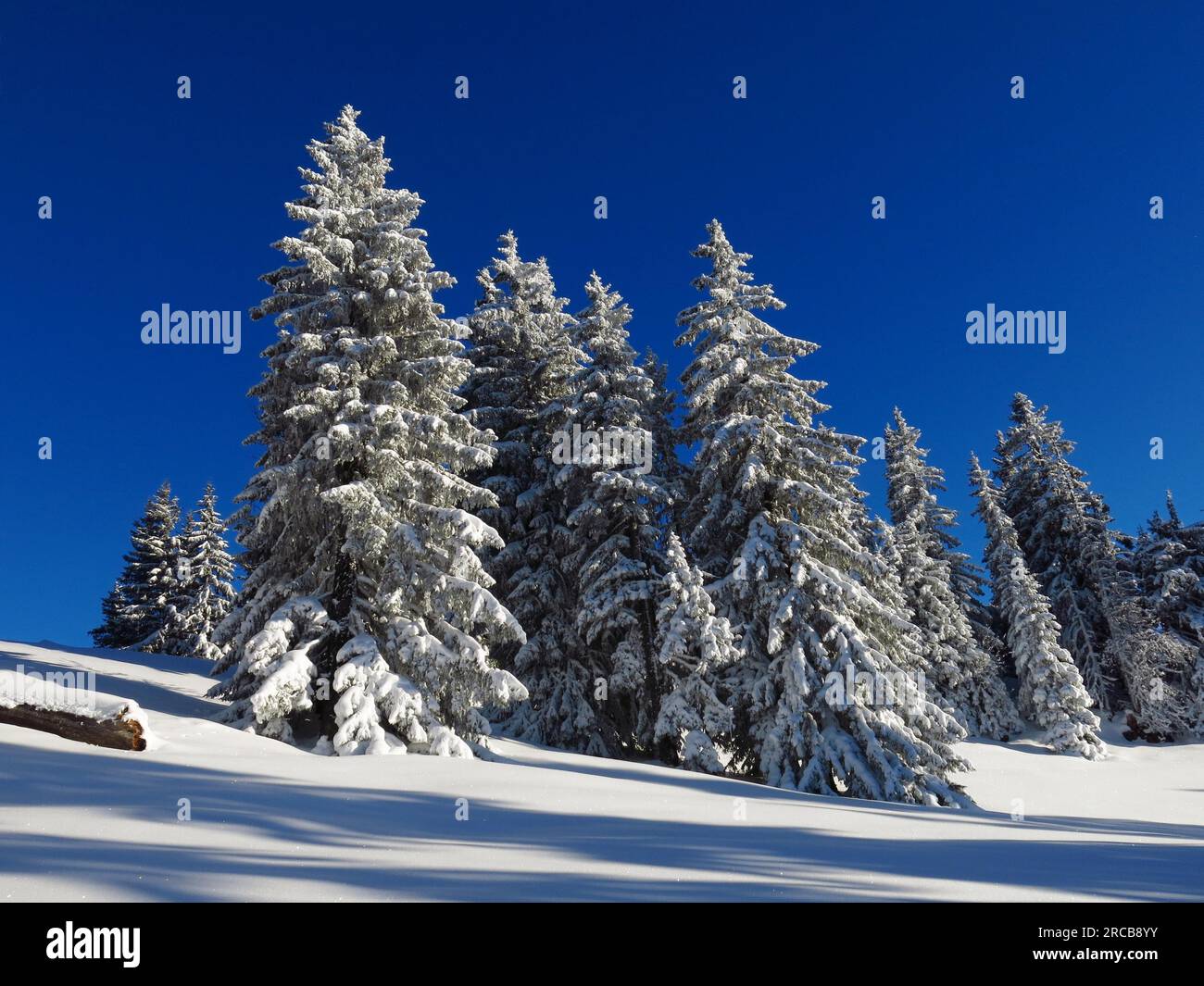 February advent hi-res stock photography and images - Alamy