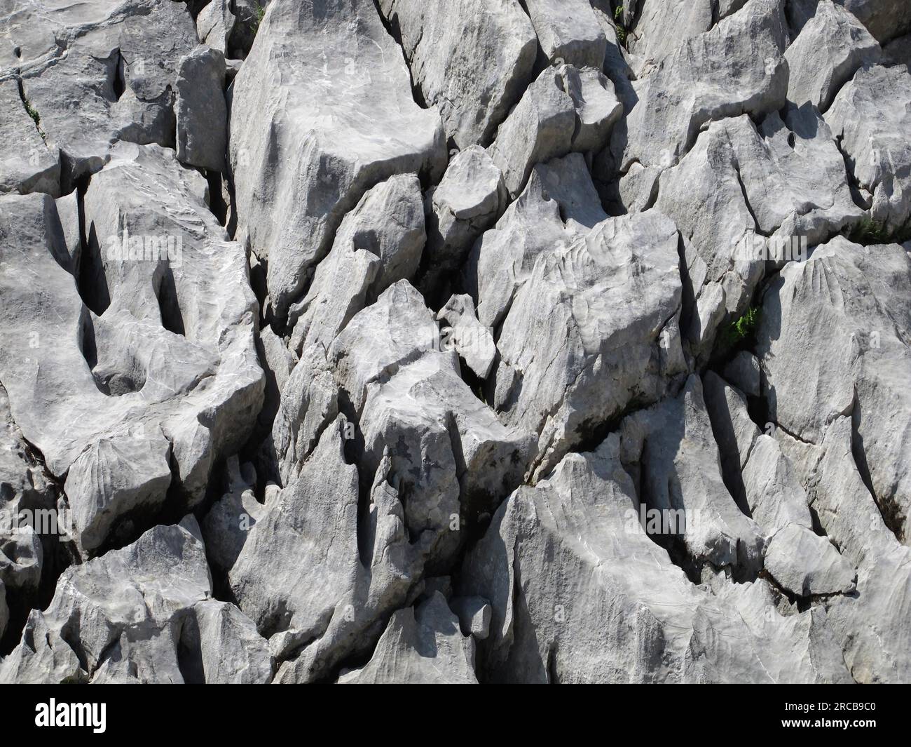 Karst rock in the Alps Stock Photo - Alamy