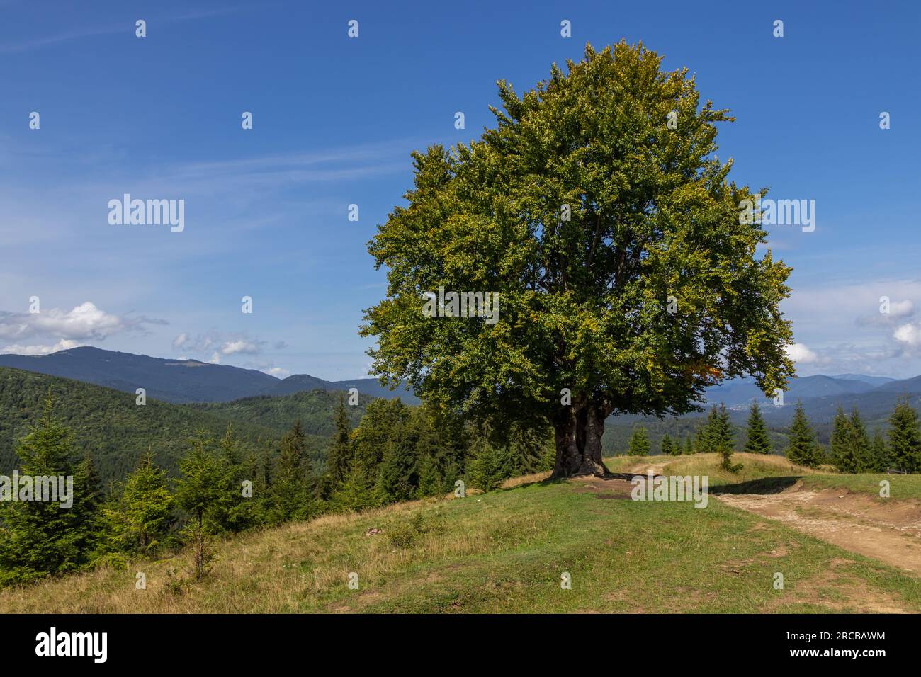 Kryvopilskyi pass hi-res stock photography and images - Alamy