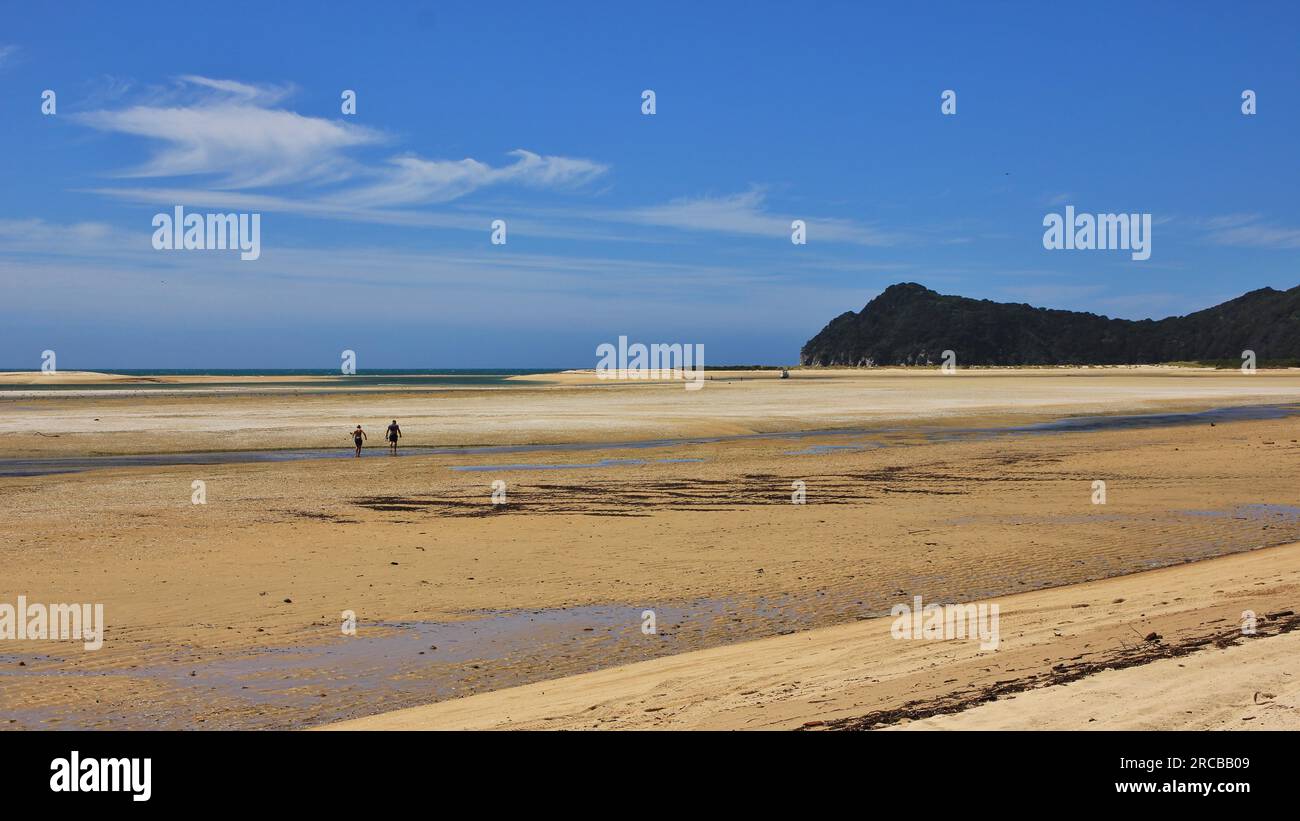 Bay in the Abel Tasman National Park, New Zealand. Low tide in the ...