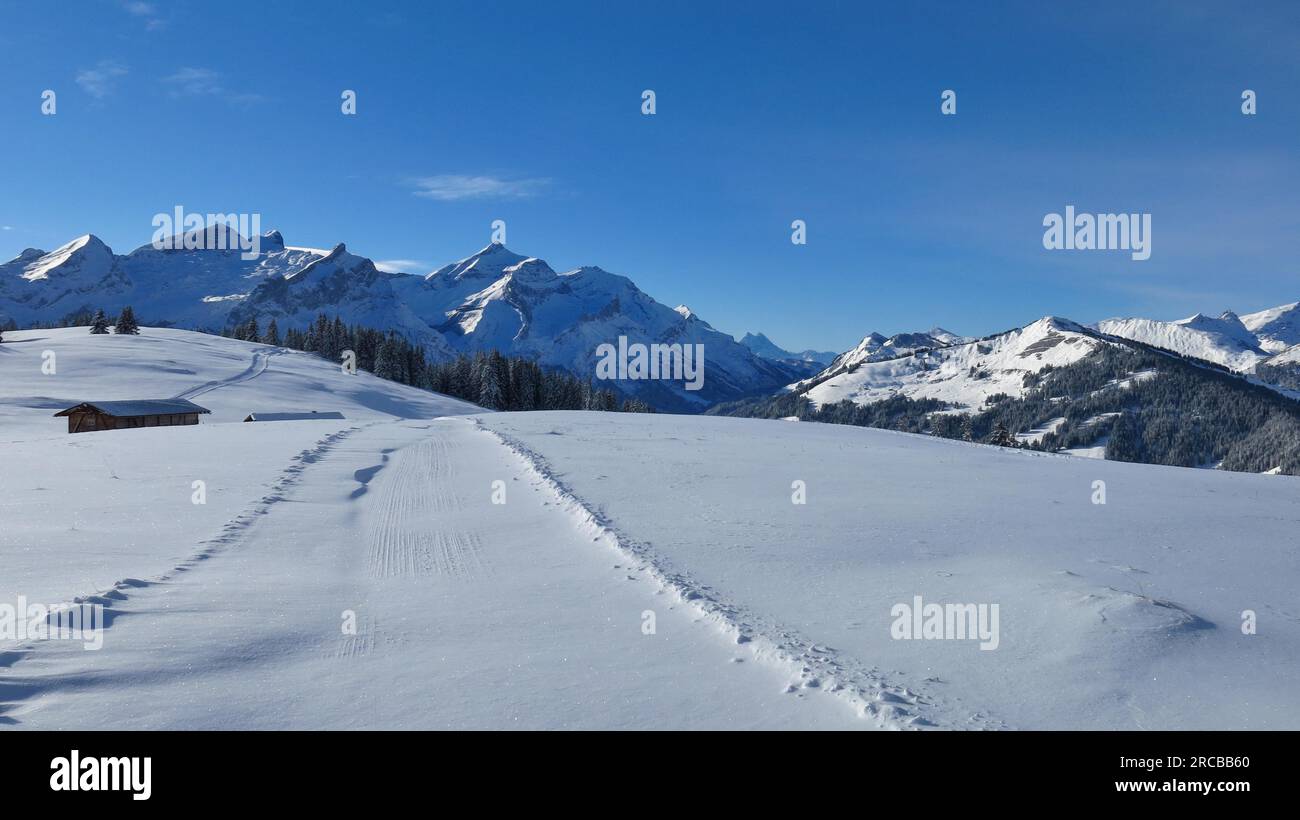 Snow covered mountains near Gstaad, Swiss Alps. View from Mt Wispile ...