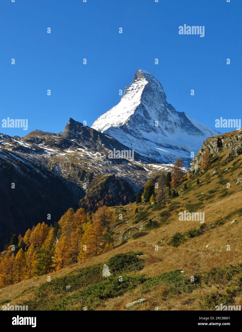 Autumn landscape in Zermatt. Snow capped Matterhorn. Golden larch trees ...