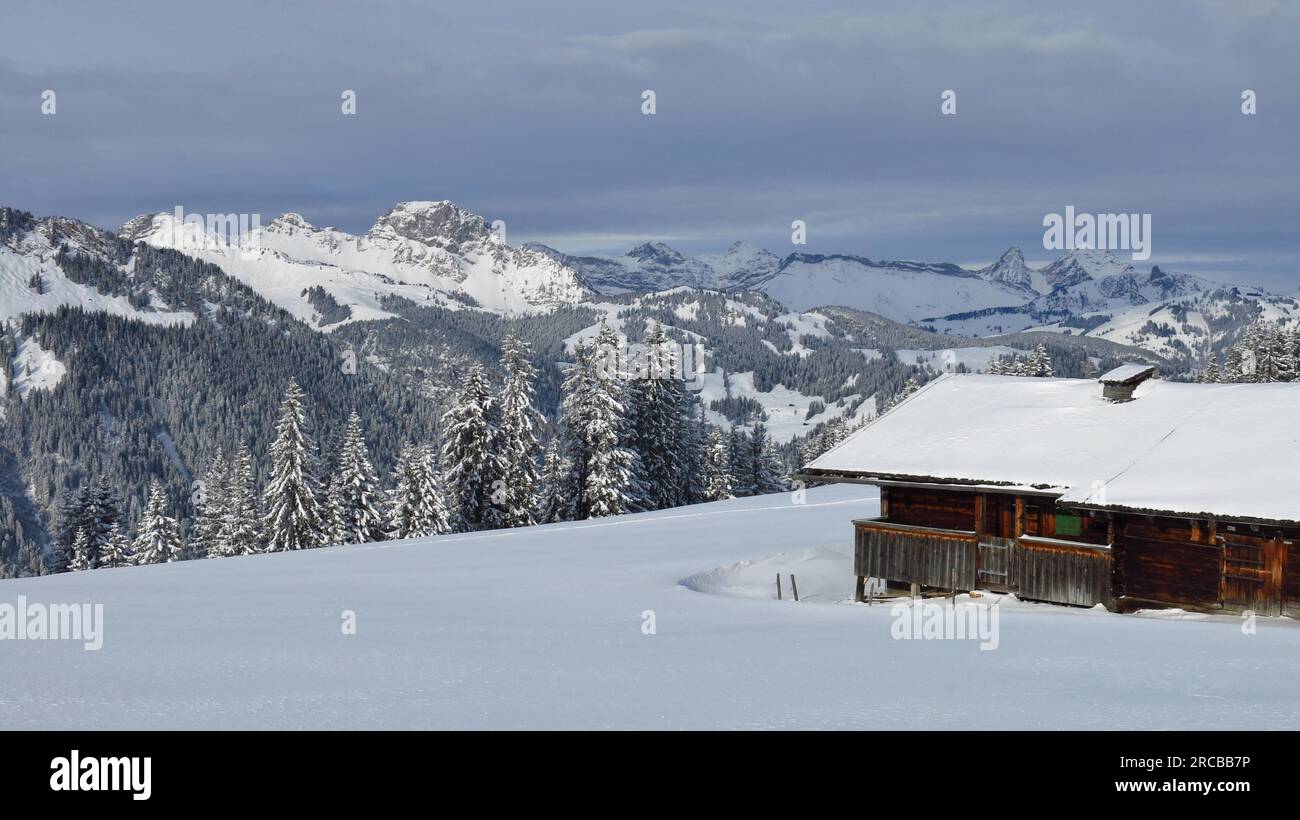Winter scene on Mt Wispile, Gstaad Stock Photo - Alamy