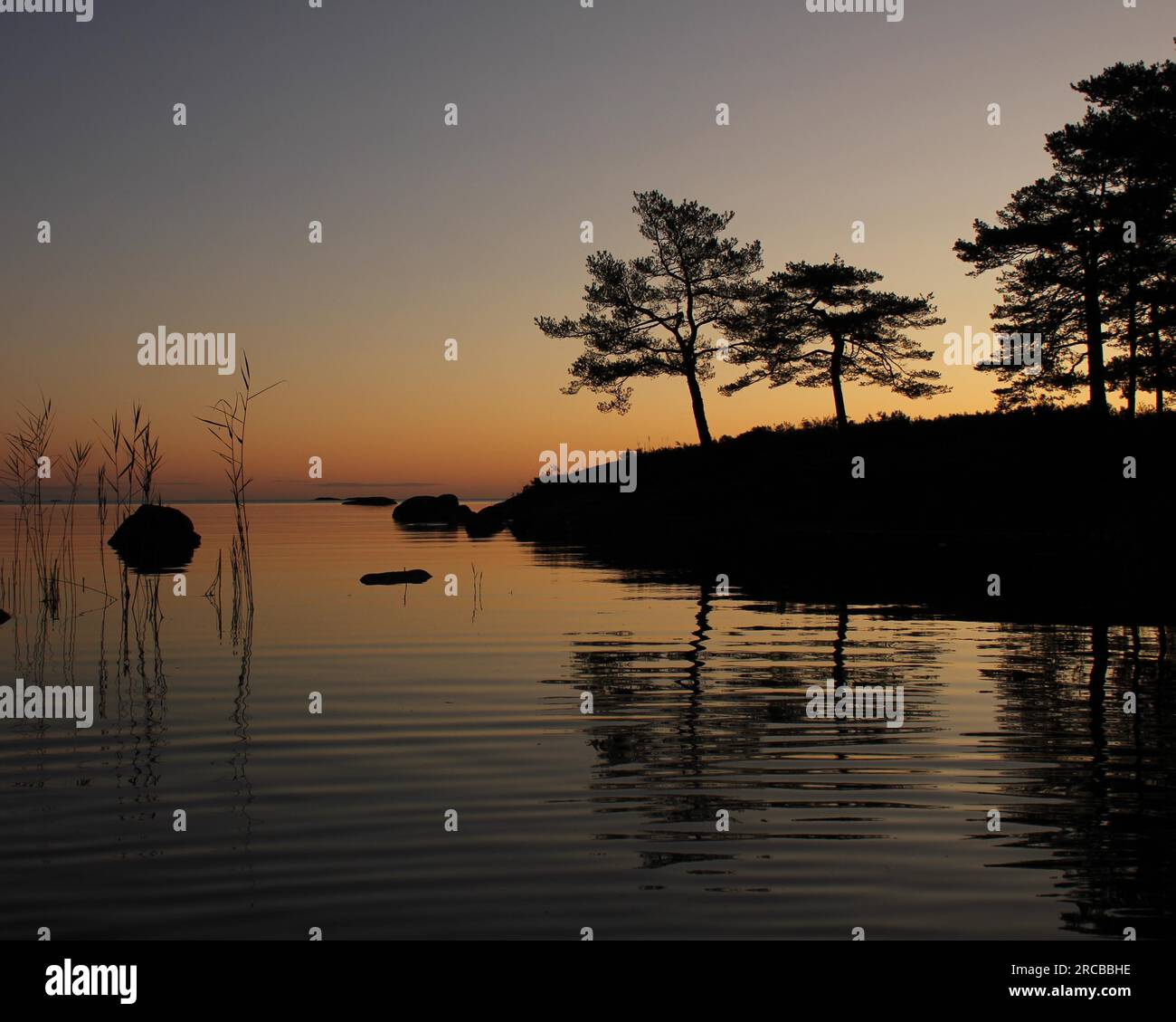 Summer dawn trees hi-res stock photography and images - Alamy