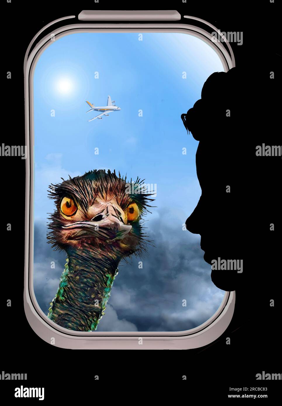 A comical looking emu peers into the window of a passenger airliner ...